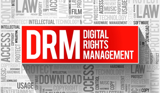 NetflixのDRMを理解する：動画の保存と視聴に使える安全な方法2選